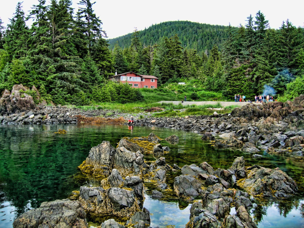 Alaska Shamanic Retreat - SHAMANISM