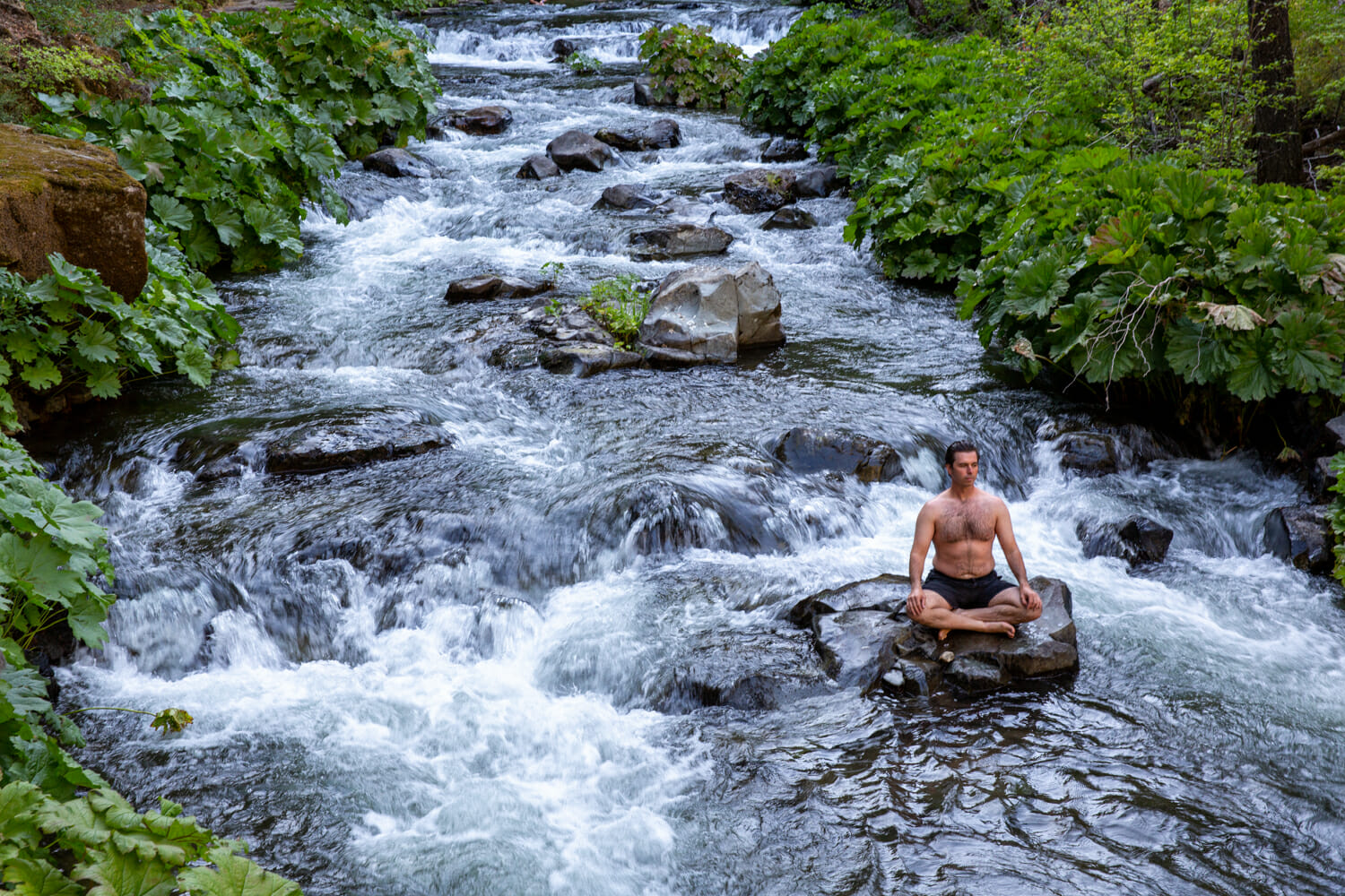 SHAMANISM | Mount Shasta — Spiritual Healing Retreat